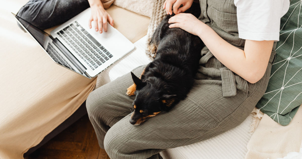 Injury at home, no liability: A reversal… | Jackson McDonald Lawyers