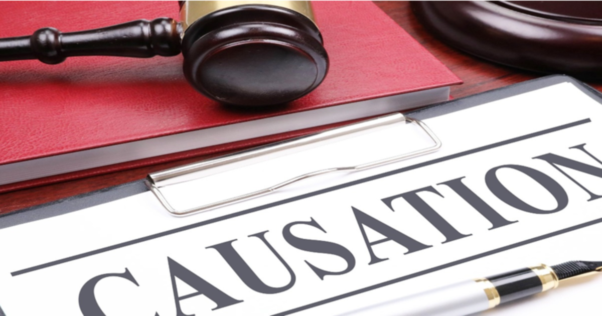 The butterfly effect – where is the line… | Jackson McDonald Lawyers